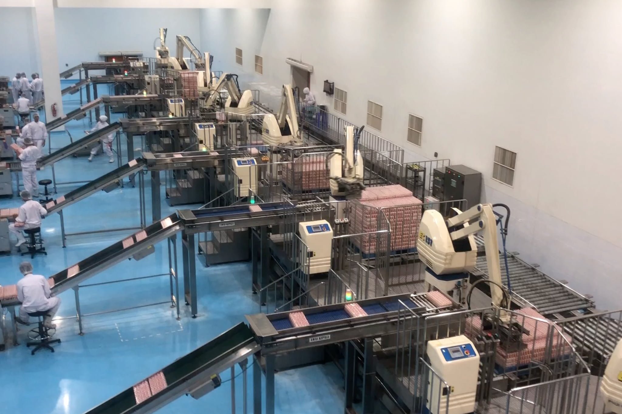 Robotics Palletizer Frensiand Jaya Teknik